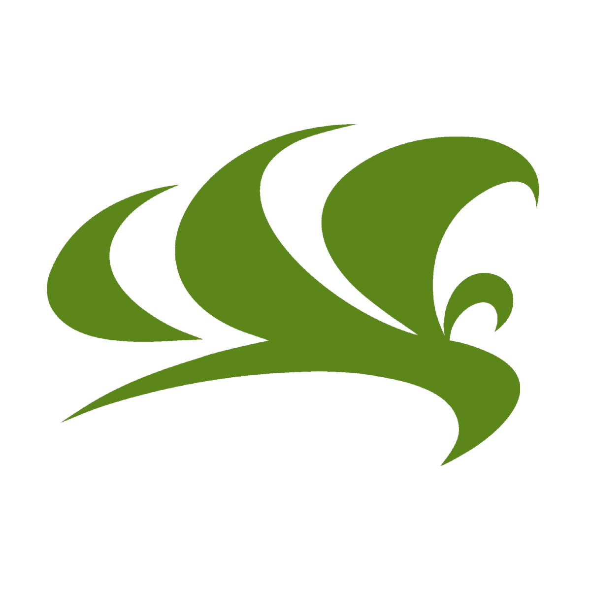 Job - Spettacolo: Vocal Fellowship - Grant Park Music Festival