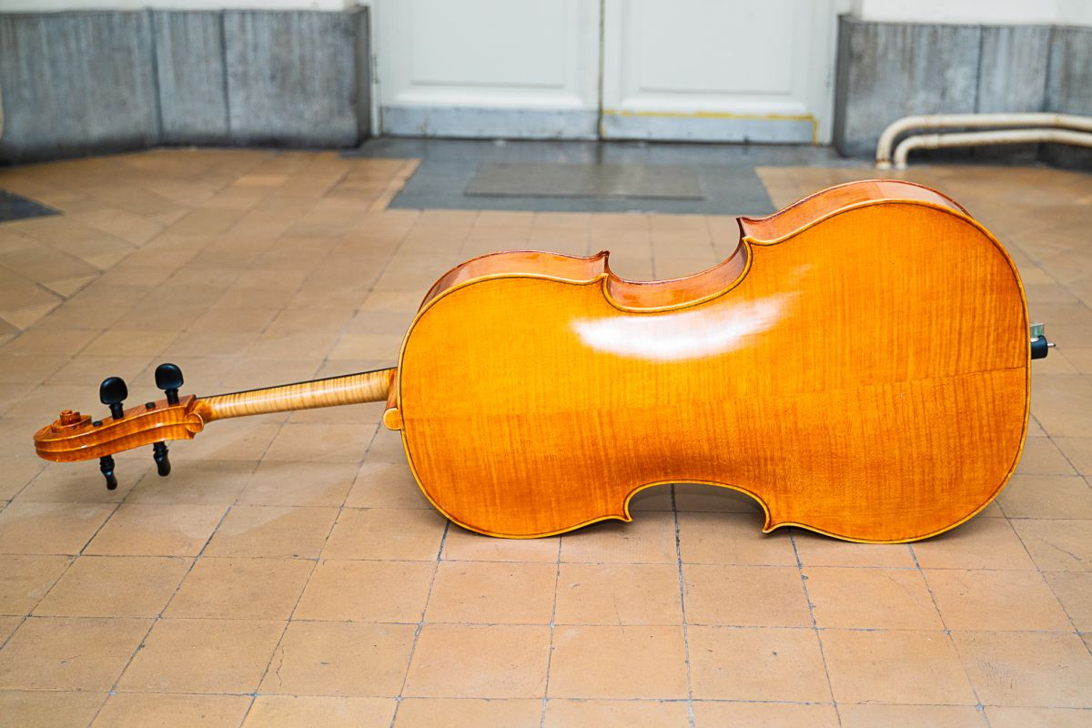Instrument Sale: Italian Cello - 1976
